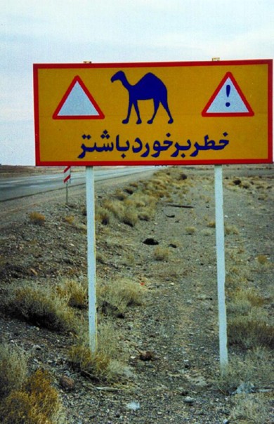 21 weird road signs in the world