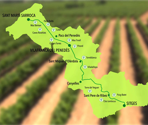 Penedes Wine Road is well worth the time