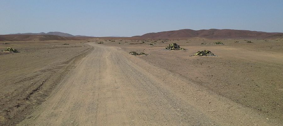 Messum Crater, a road to Mars
