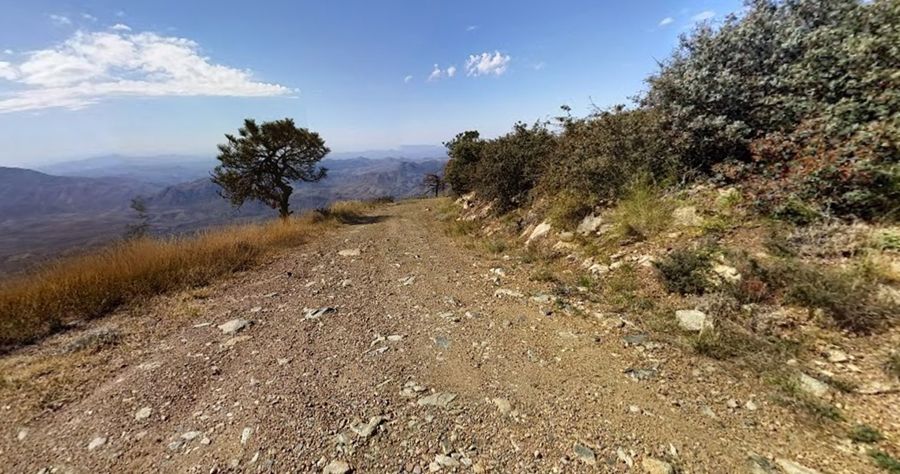 The Wild Road to Mount Ord