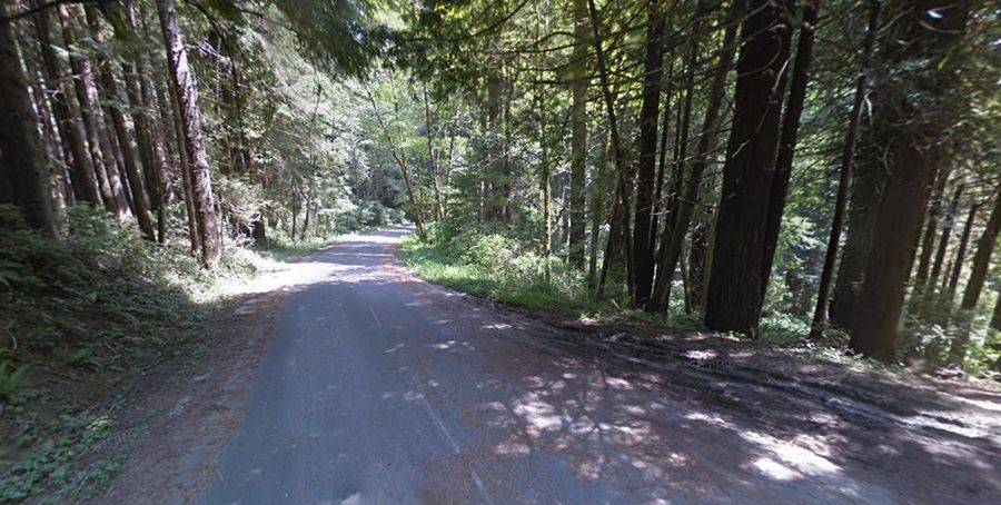 Driving the scenic Coastal Drive of California