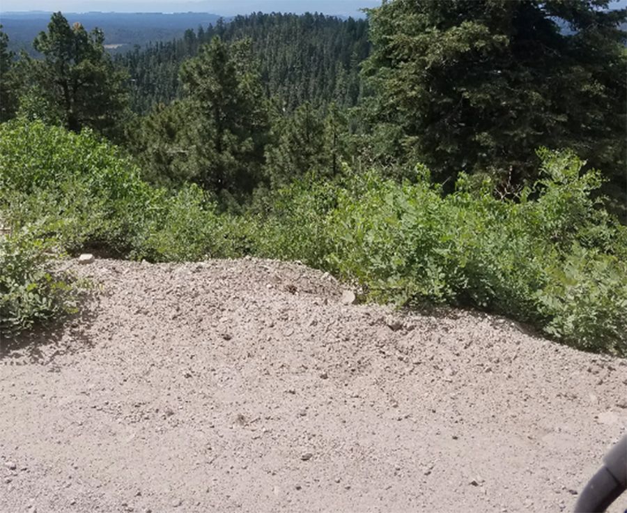 Bill Williams Mountain