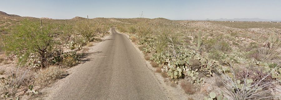 Cactus Forest Drive, a scenic road in Saguaro NP