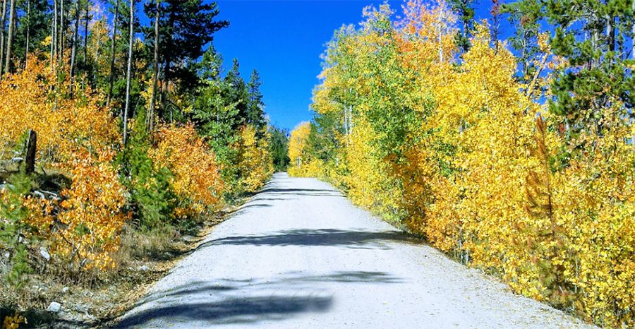 A sensational drive to Louis Lake