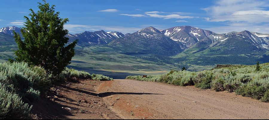 The Ultimate Guide to Traveling the Burcham Flat Road