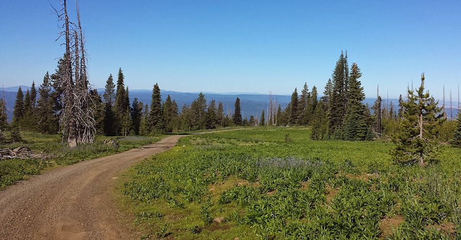 A memorable road trip to Indian Rock