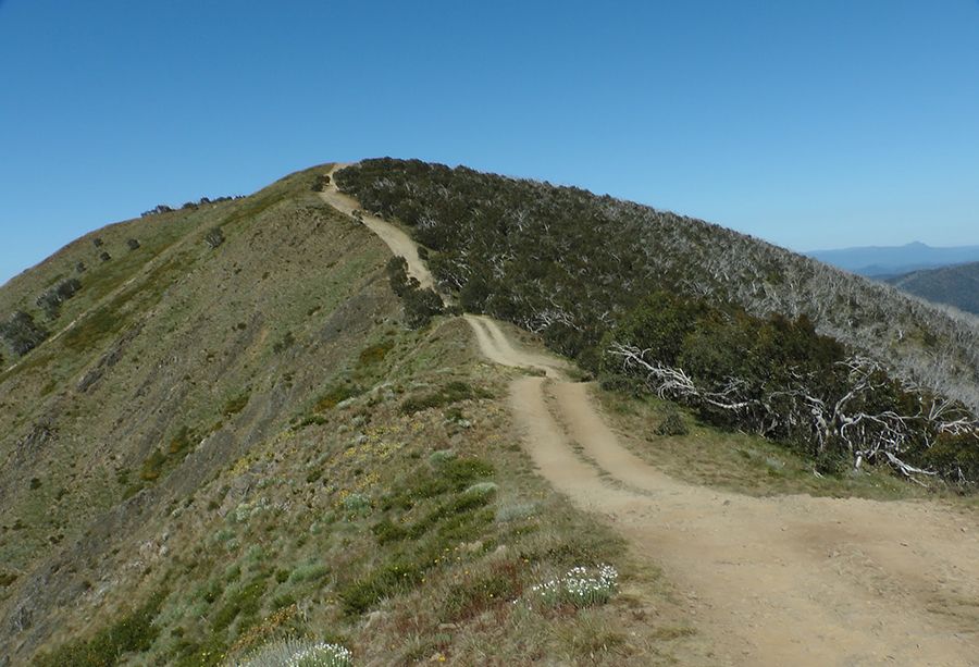 Blue Rag Range Track: only for 4WD cars with good clearance