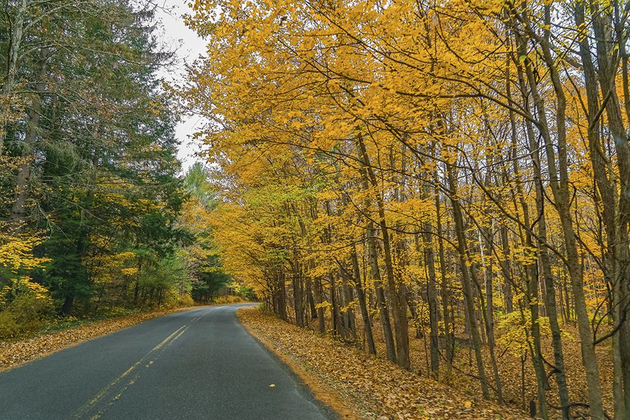 Picturesque Routes for the Ultimate Road-trip & Vacation in the Pocono ...