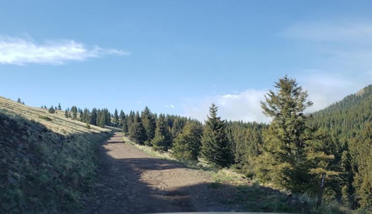 Driving a Wild 4x4 Road to Mount Taylor in New Mexico